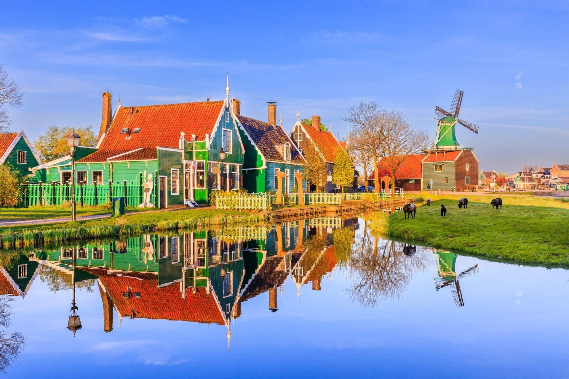 Ngôi làng cối xay gió Zaanse Schans nổi tiếng nhất thế giới - Golden ...
